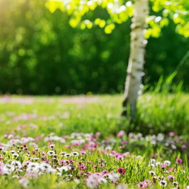 Lamers Tour and Travel