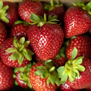 Lamers Tour and Travel